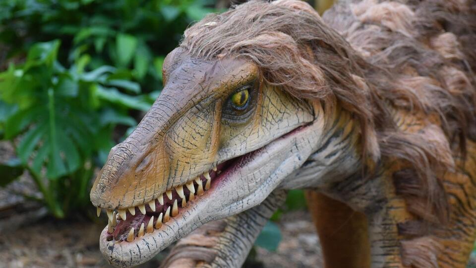 7 Lesser-Known Dinosaurs With Truly Bizarre and Unforgettable Features ...