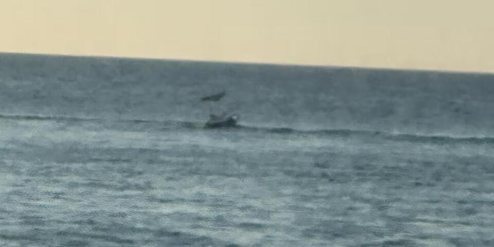 Fishing charter company says serious injuries reported in Perdido Pass ...