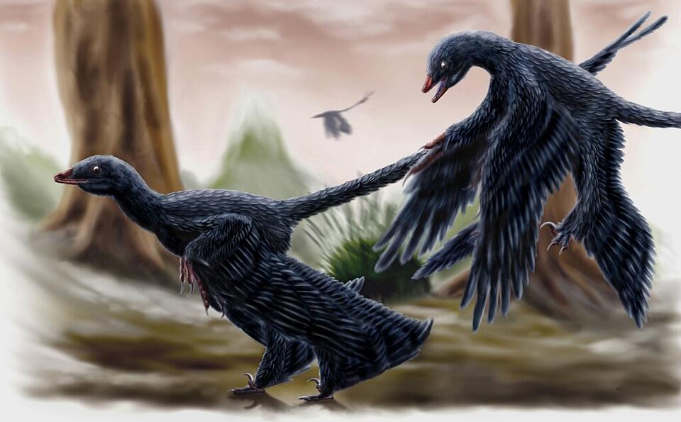 The Strange Case of Four-Winged Dinosaurs - NewsBreak