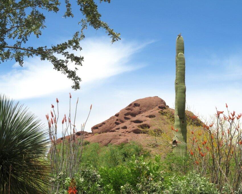 Independent accepting photos for 2023 Arizona calendar - NewsBreak