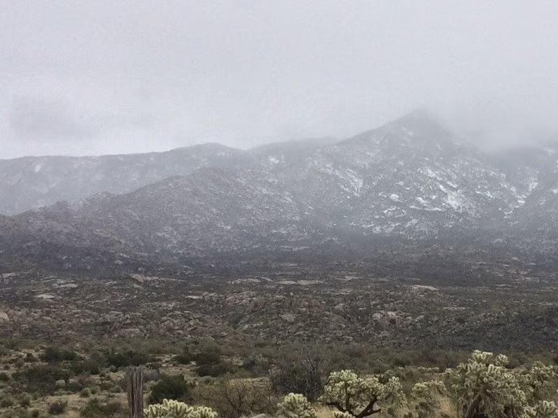 Rain Snow Welcome Sight For Saguaro National Park As Fire Season
