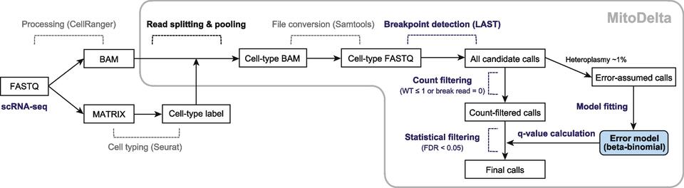 MitoDelta: identifying mitochondrial DNA deletions at cell-type ...