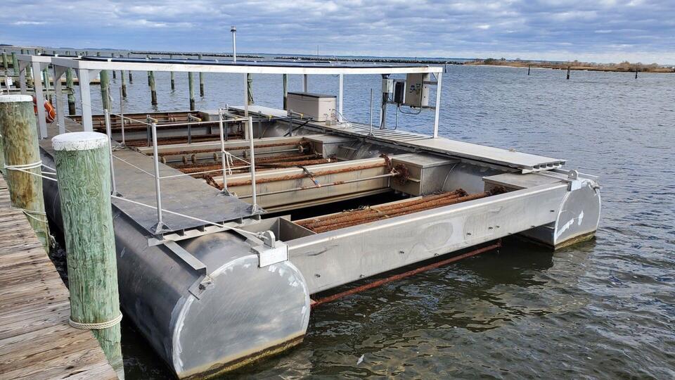 Using sunshine to power oyster production - NewsBreak