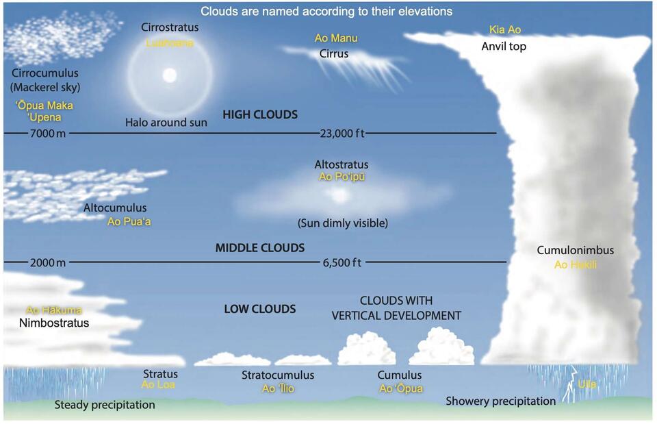 Cloud Gazing 101: Understanding Different Types of Clouds and What They ...
