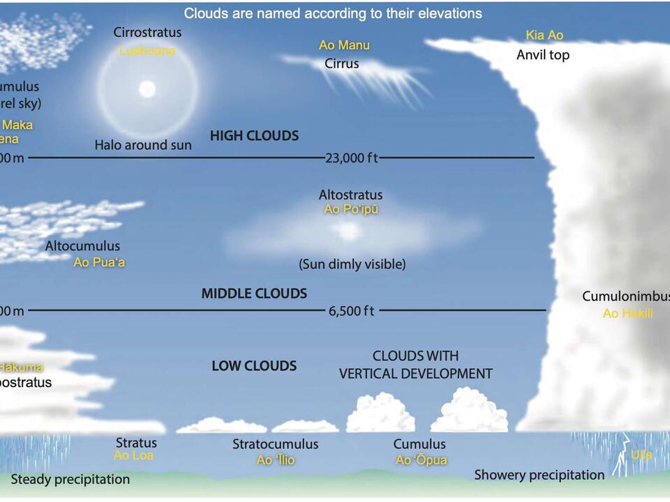 Cloud Gazing 101: Understanding Different Types of Clouds and What They ...