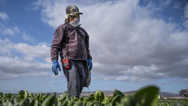 Proposal would give WA agricultural workers more options to form a ...