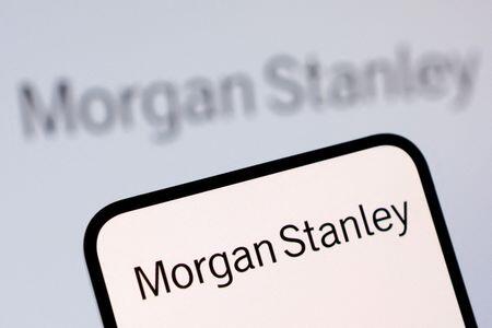 Global AI debt issuance to top $500 billion in 2026, Morgan Stanley ...