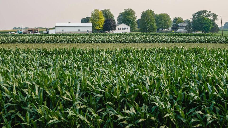 Pyxus International Publishes Fiscal Year 2024 Sustainability Report ...