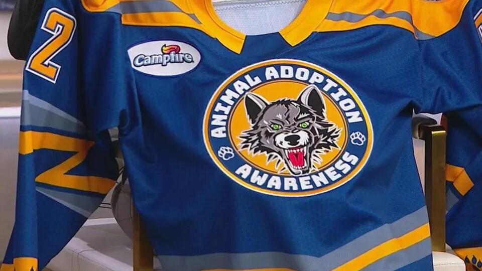 Chicago Wolves shine spotlight on animal adoption this weekend - NewsBreak