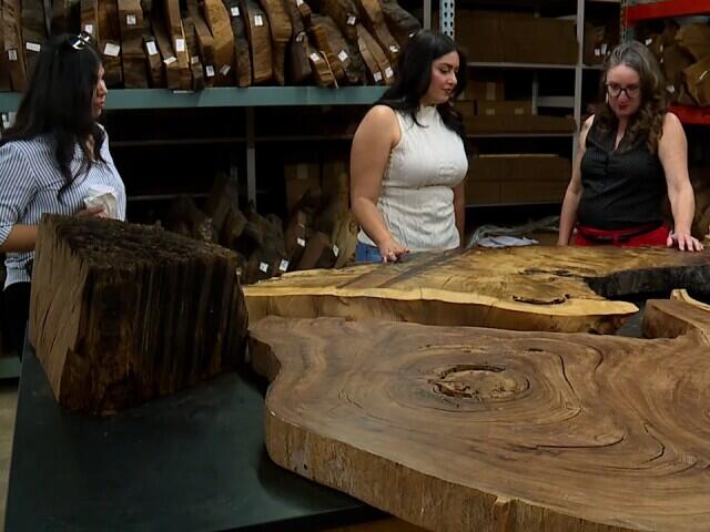 Tree-ring, fire scar data shows wildfire activity declining - NewsBreak