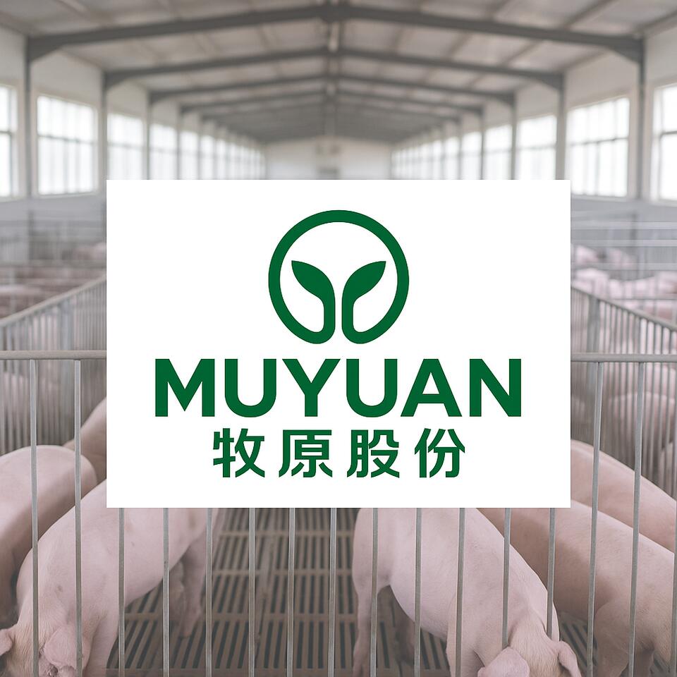 Muyuan Foods Raises 2025 Pig Slaughter Forecast - NewsBreak
