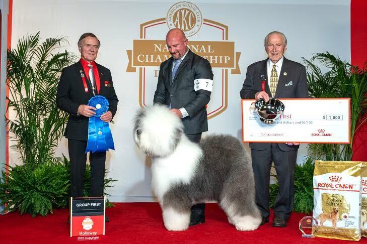 Group Winners Crowned at the 2025 AKC National Championship - NewsBreak