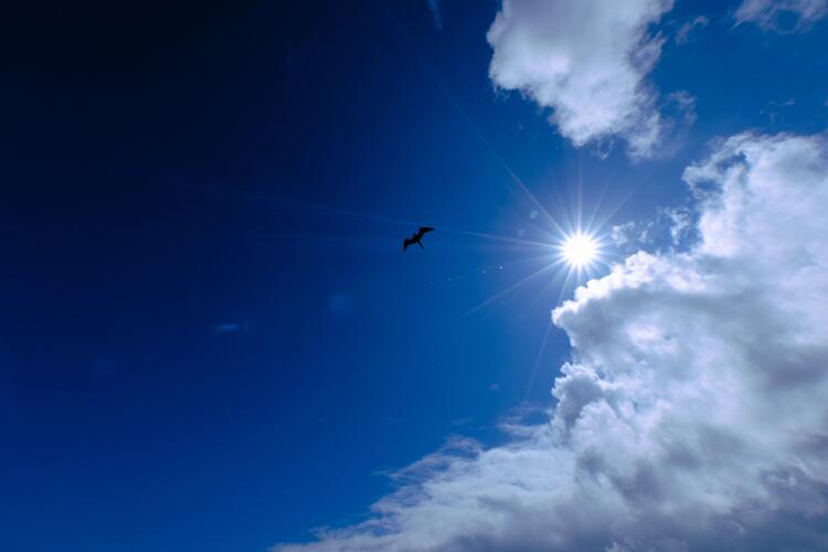 Sun forecast for Denver — 3 ways to hit it head-on