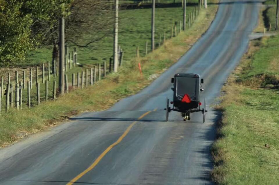 Girl, 8, dies after her Amish horse-drawn carriage is struck by SUV in ...