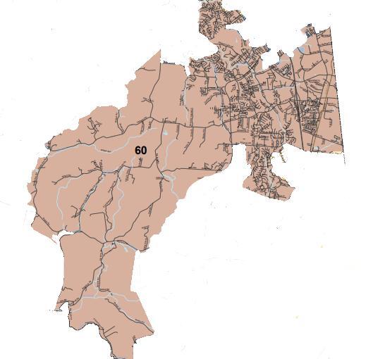 House District 60: Marianne Proctor and Christopher Pavese - NewsBreak