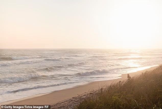 Nantucket neighbor's tree cutting fight ramps up as 'selfish' man ...