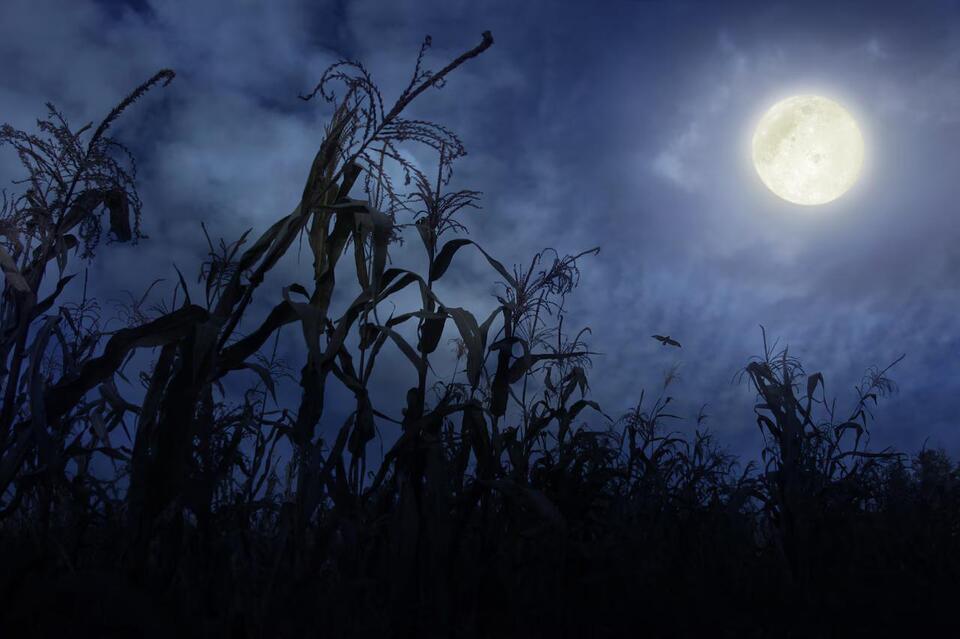 This weekend’s full Corn Moon will be a Blood Moon Lunar Eclipse for ...