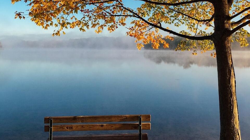 Fall Colors Arrive Early in Northeast Tennessee: What to Expect and ...
