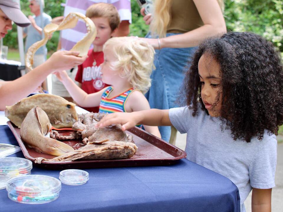 34th annual Earth Day Mobile Bay celebrates, teaches about local ...