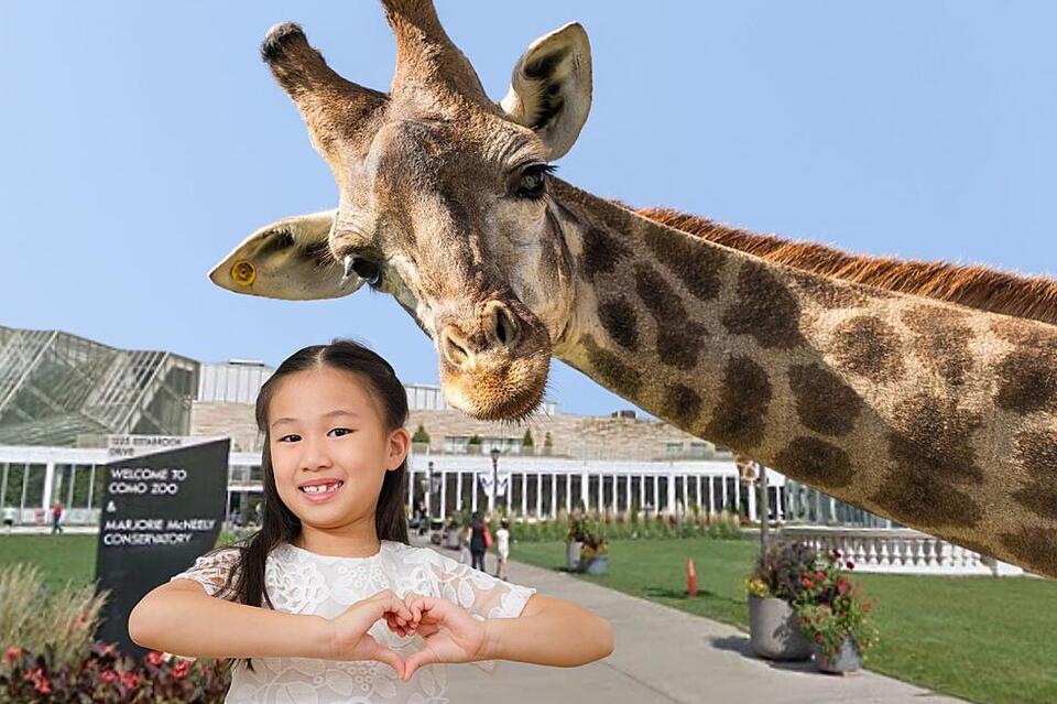 NEW Attraction for Families Now Open at Zoo in Minnesota - NewsBreak
