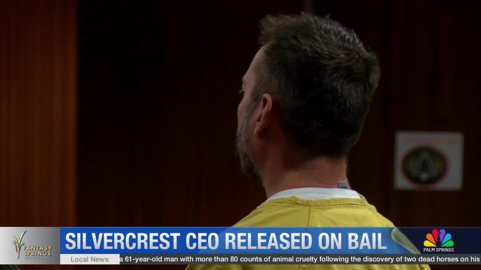 Silvercrest CEO Posts $2M Bail After Fatal Hit-and-Run Charges - NewsBreak