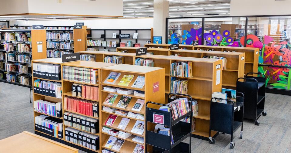 ‘CCBC Choices 2026’ highlights recommended children’s and teen books of ...