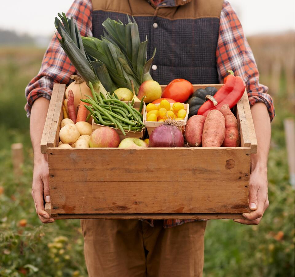 Utah Department of Agriculture and Food receives USDA Farm to School ...