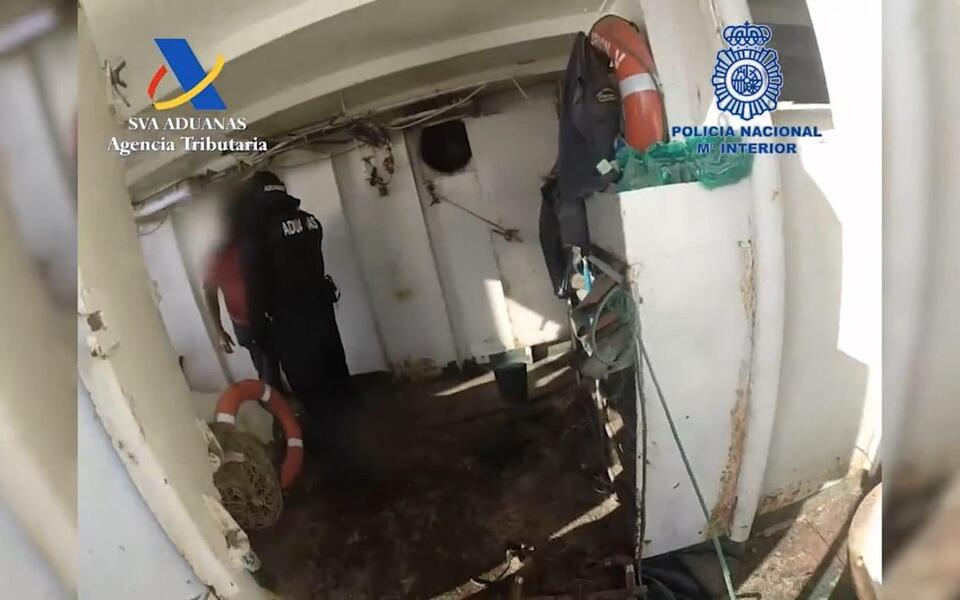Cocaine cows: How cartels use livestock to smuggle drugs to Europe ...