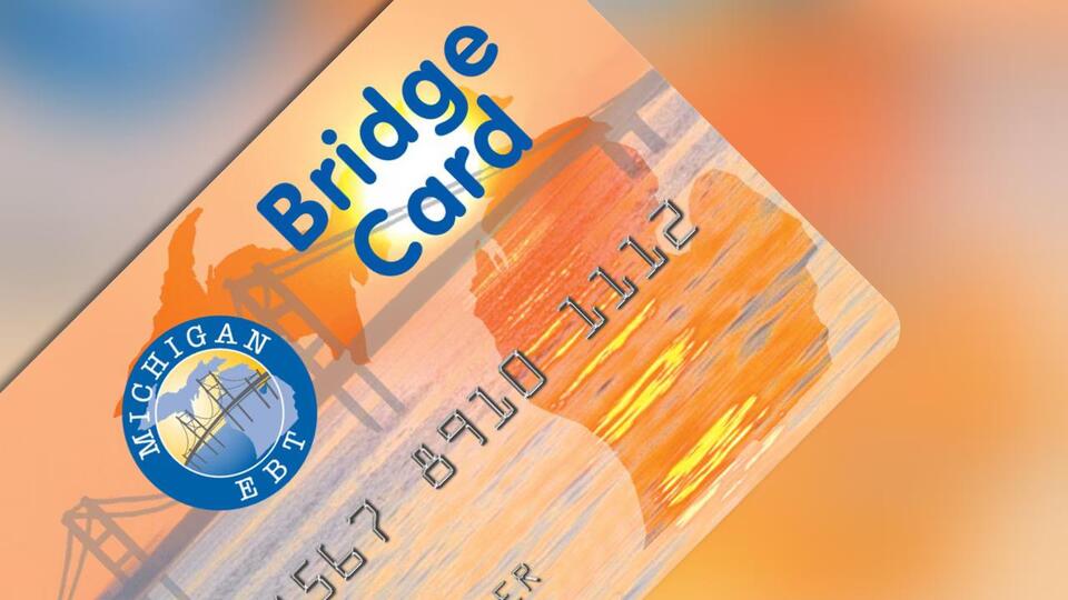 Woman charged with Bridge Card fraud after allegedly selling baked ...