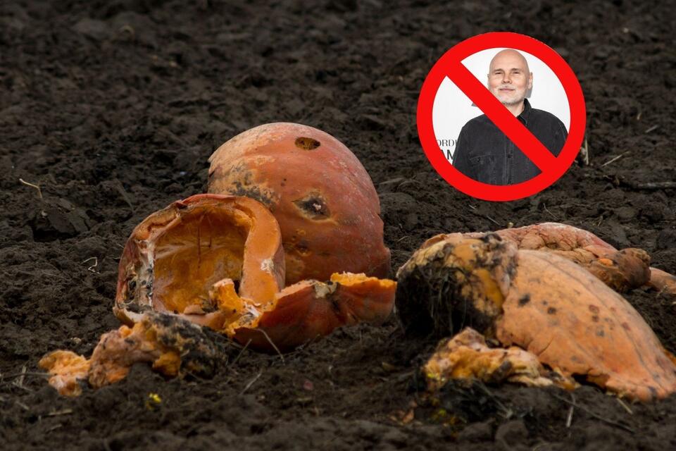 Smash Your Pumpkins after Halloween in the Capital Region - NewsBreak