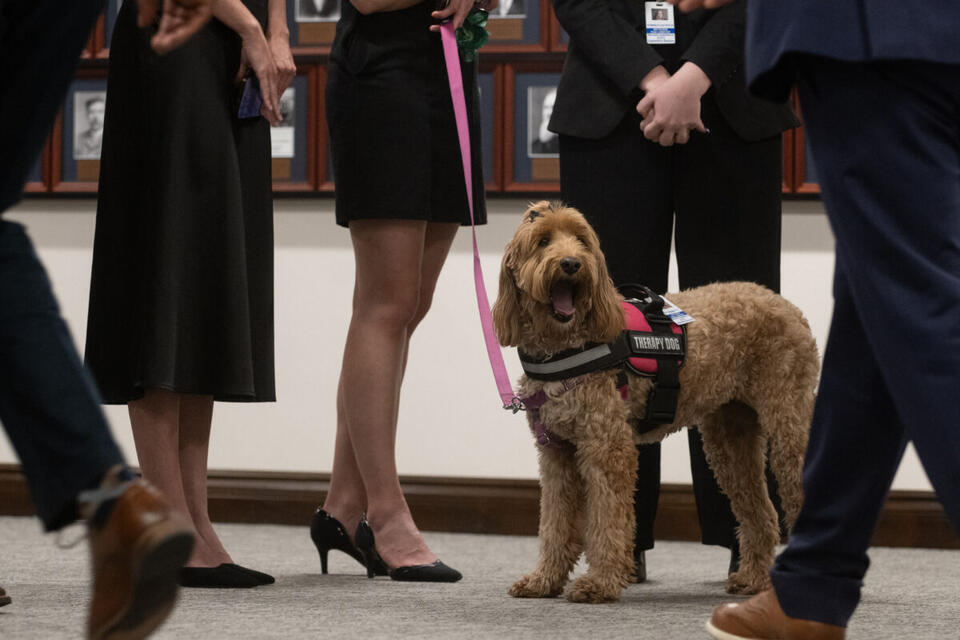 PHOTOS: Lawmakers dash to finish line of Nevada's 2025 legislative ...