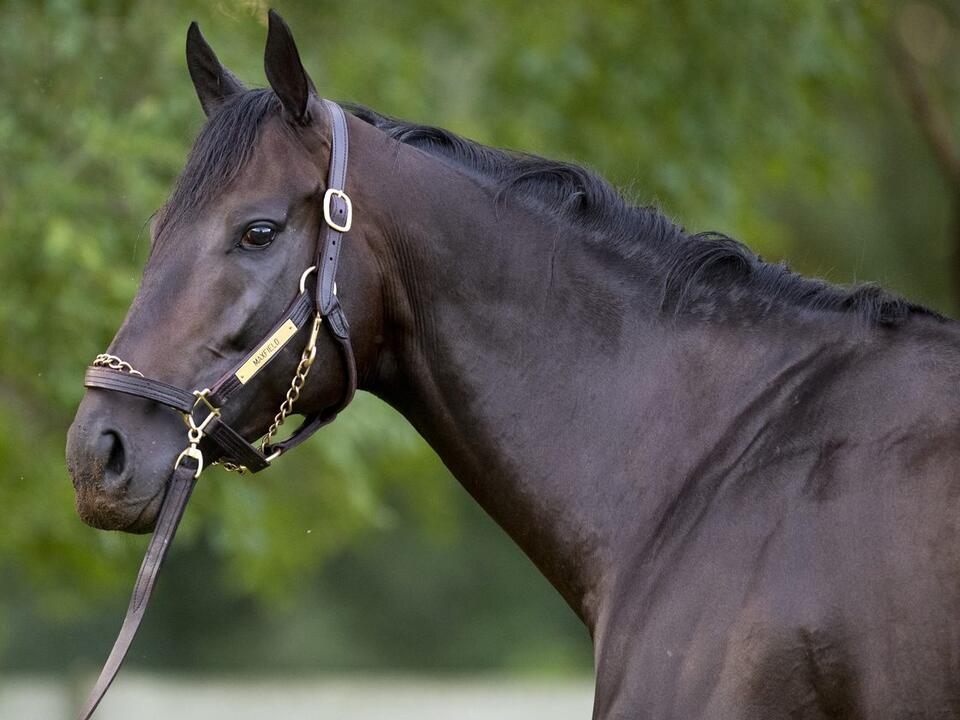 June 9 Insights: Half-Siblings to Princess Grace, Maxfield Debut