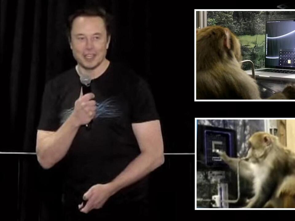 Elon Musk’s Neuralink device placed in 6 monkeys that ‘typed and played ...