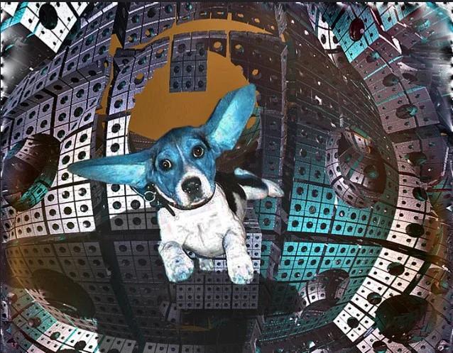 How Laika the First Animal in Space Changed Space Exploration Forever ...