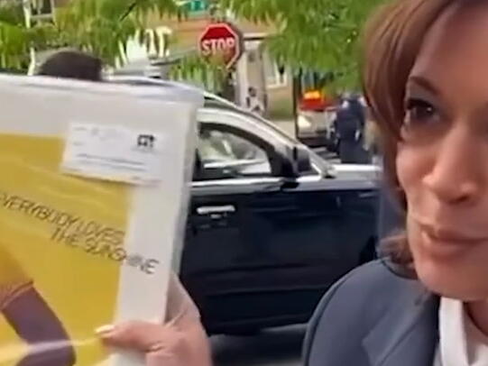 Kamala Harris unveiled her campaign logo hours after Biden’s exit ...