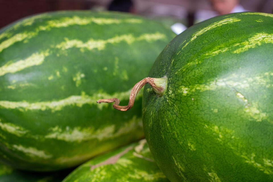 How to pick a perfect watermelon using the two-finger test - NewsBreak