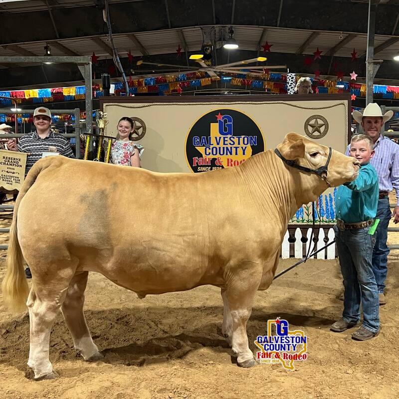 Congratulations to 2025 Galveston County Fair & Rodeo Grand Champion ...