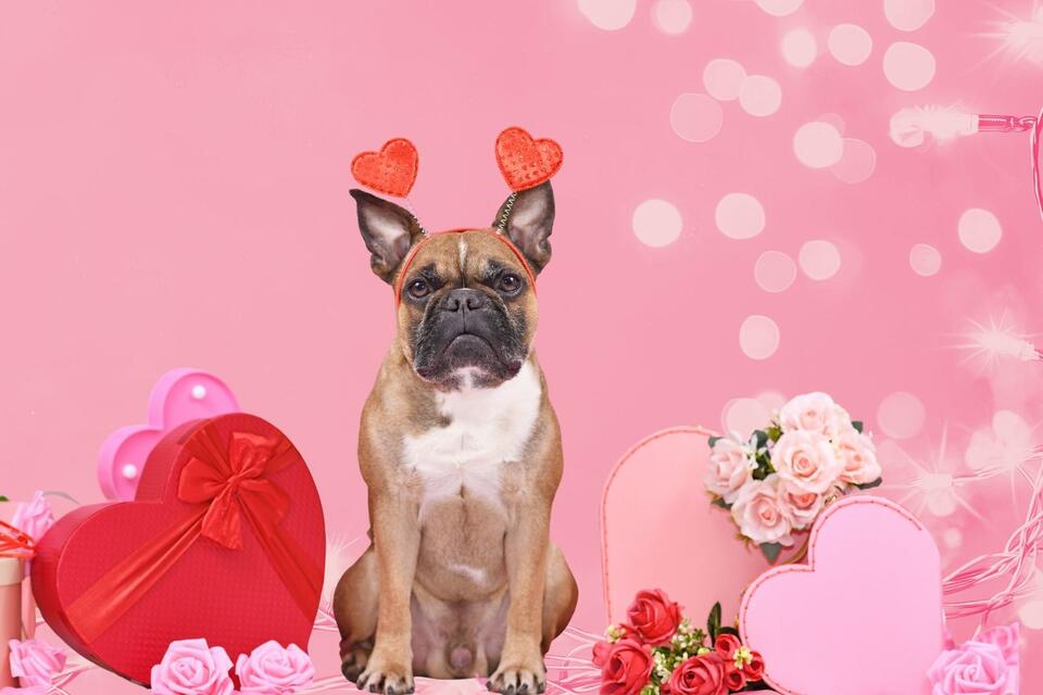 What’s Behind The Surge Of Pink Holiday Lights In New Jersey? - NewsBreak