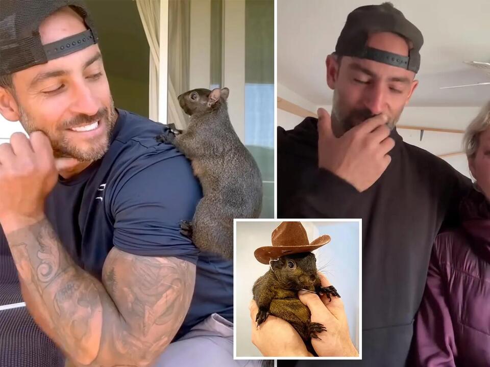 P’Nut the Squirrel’s caretaker fears animal was decapitated by DEC as ...