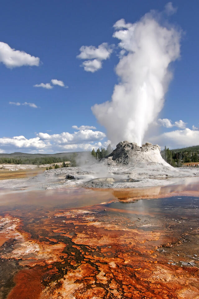 The Microbes That Make Yellowstone Bubble—and Could Power the Future ...