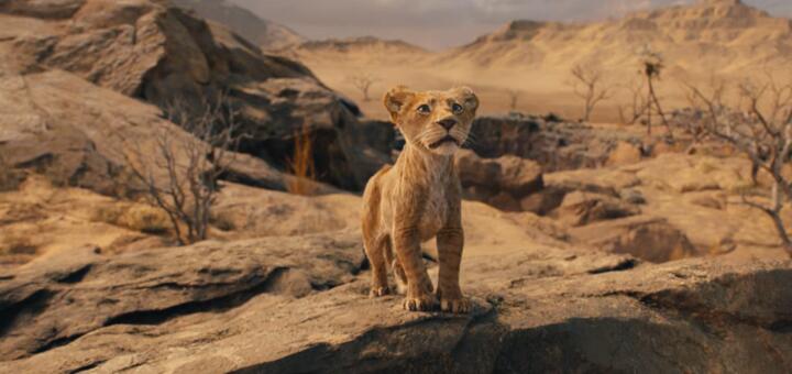 Meet the New Faces of Disney’s ‘Mufasa: The Lion King’ - NewsBreak