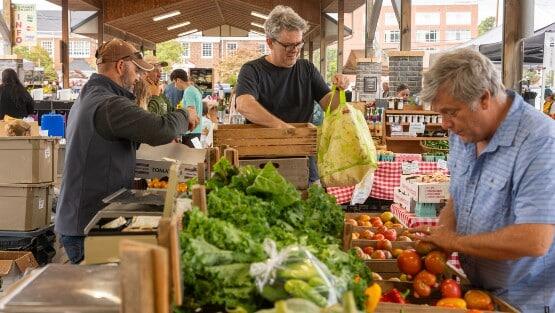 Harrisonburg Farmers Market returns with busy schedule for 2026 - NewsBreak