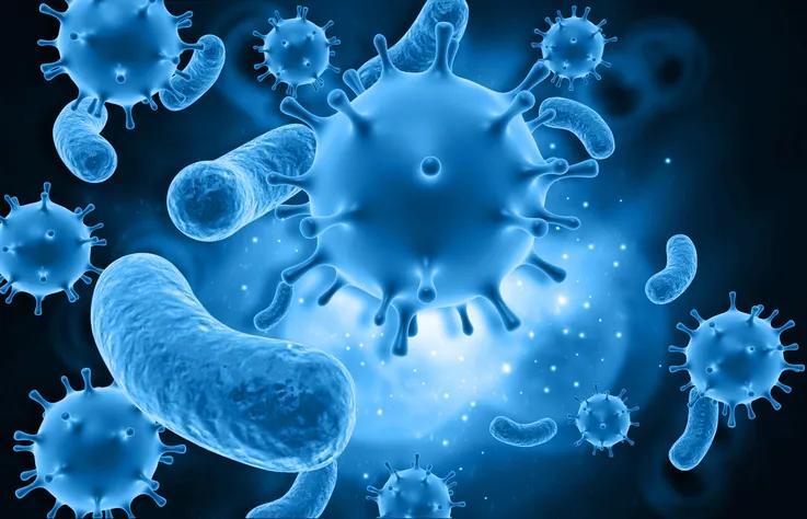 A Superbug hits 27 states: what you need to know - NewsBreak