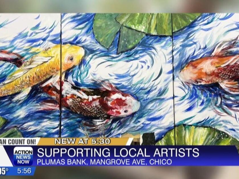 Chico artist's work being displayed at Plumas Bank