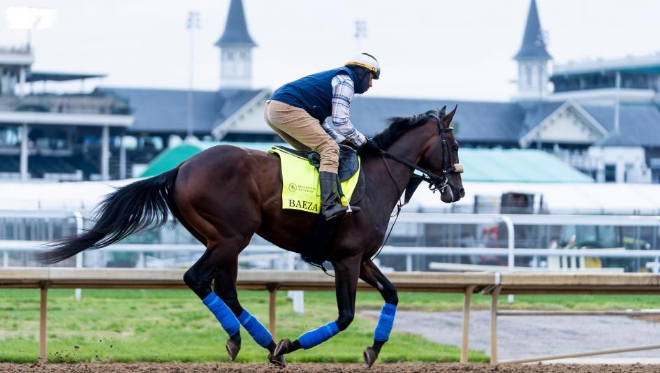 Why Each Horse in the 2025 Kentucky Derby Can Win the Race - NewsBreak