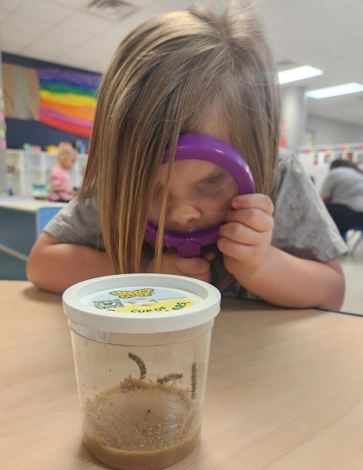 From Caterpillars to Butterflies: A Hands-On Metamorphosis Experience ...