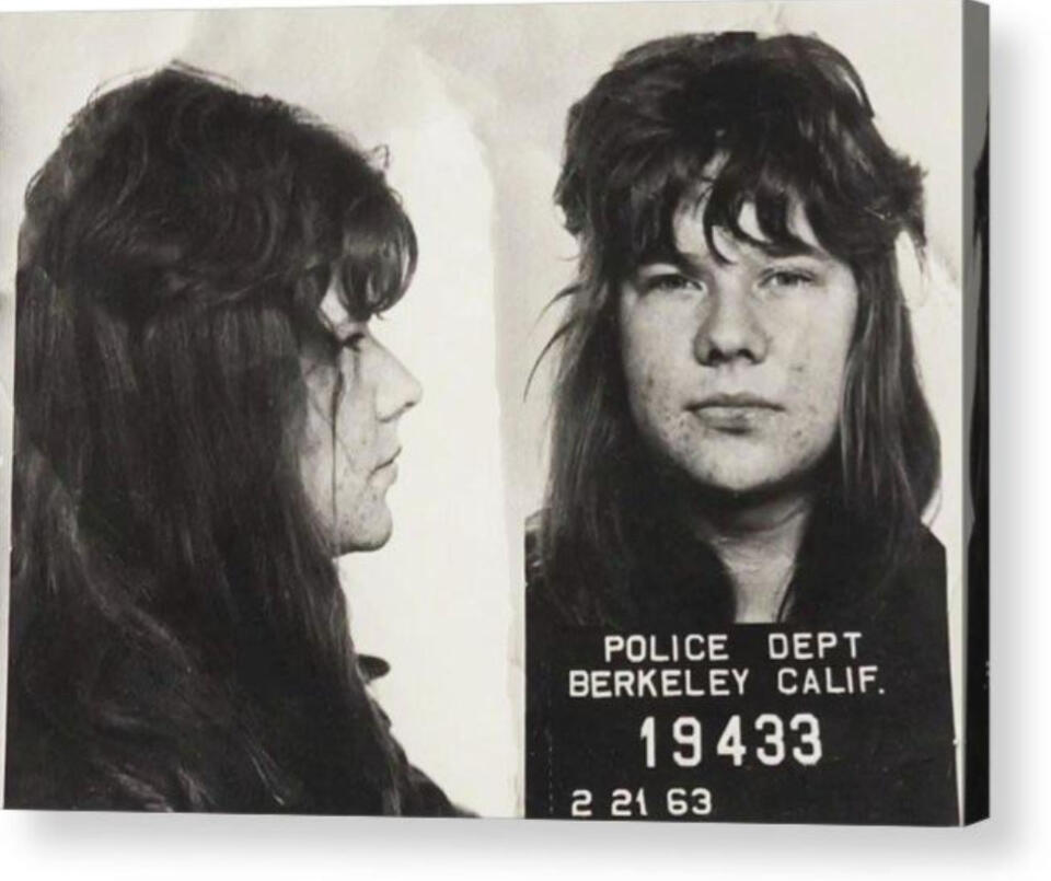 15 Mugshots of Female Musicians from the 1960s-2025 - NewsBreak