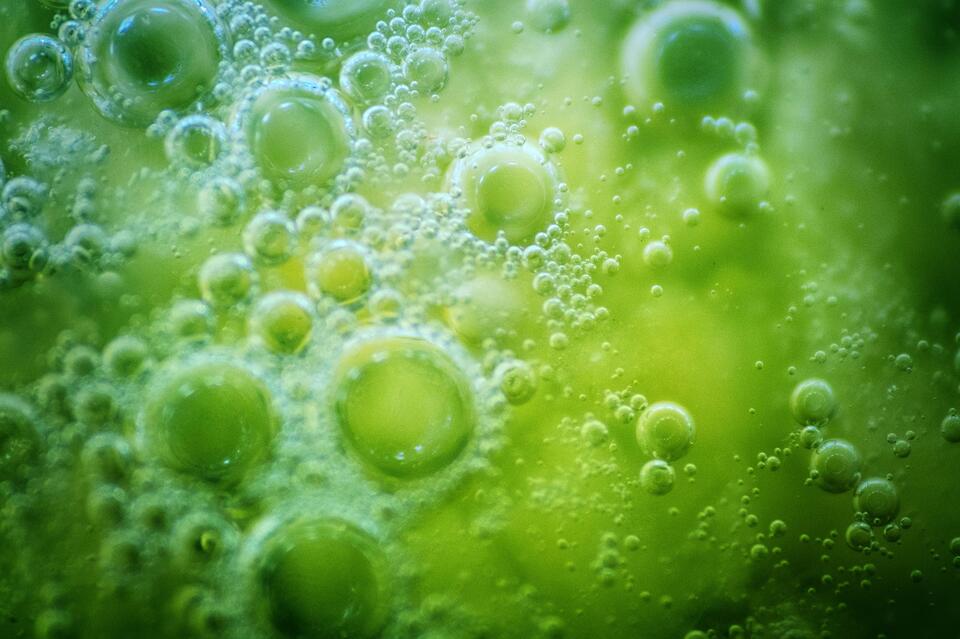 Life Learned To Breathe Oxygen Hundreds of Millions of Years Earlier ...