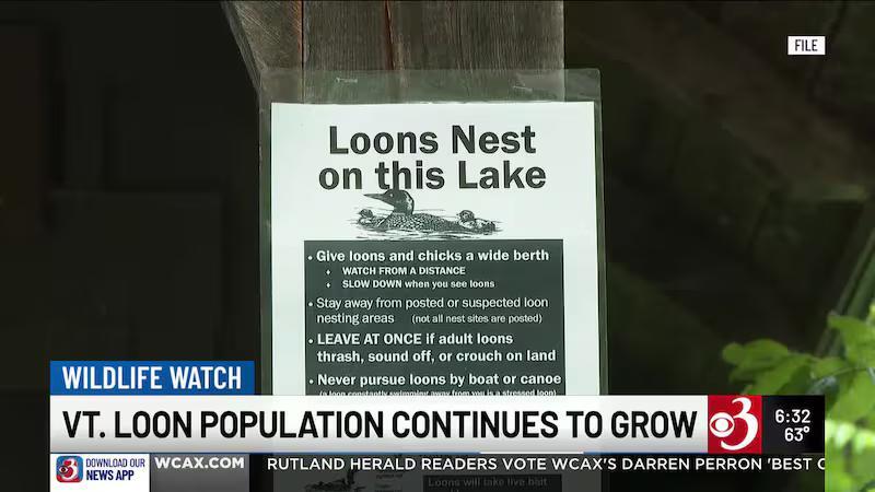 Protesters turn out at South Burlington prison to support immigration ...