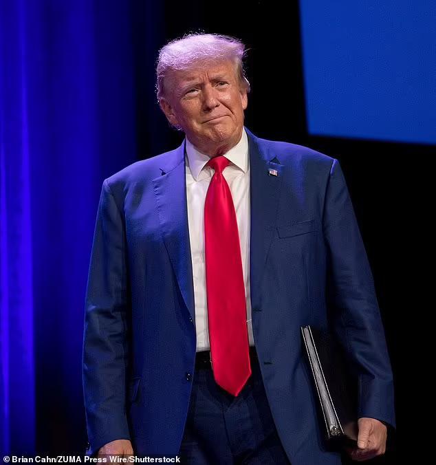 Trump's former chief of staff Mark Meadows and alleged co-conspirator ...